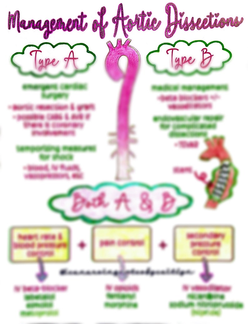 Management of an Aortic Dissection - Etsy