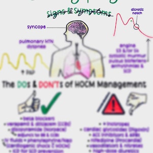 Hypertrophic Obstructive Cardiomyopathy (HOCM) - Etsy