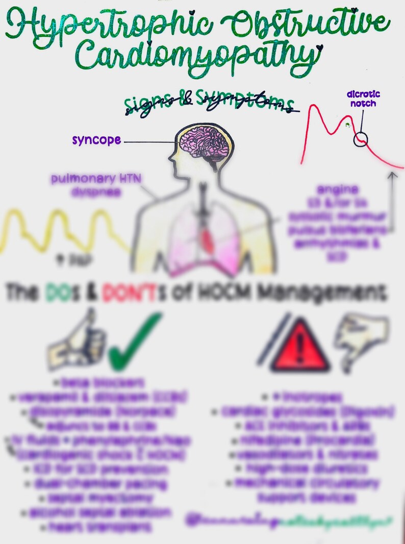 Hypertrophic Obstructive Cardiomyopathy (HOCM) - Etsy