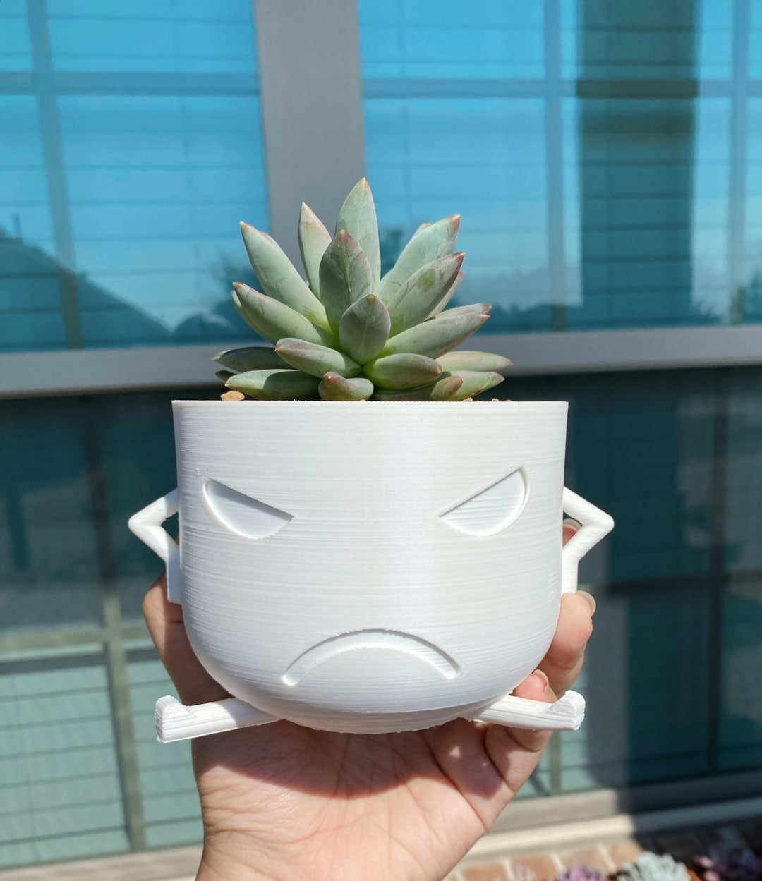 3D Print Grumpy Face Planter, Home Decor, Handmade, Cute and Fun ...
