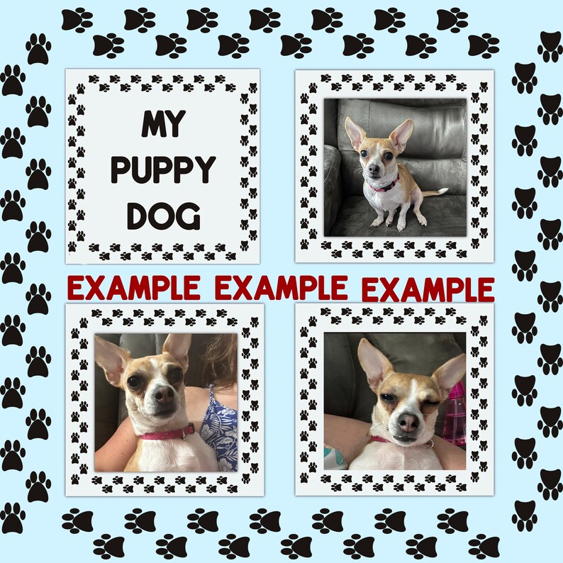 Overlay Black Paw Prints Cat Dog Pet Steps Walking Walk Border ...