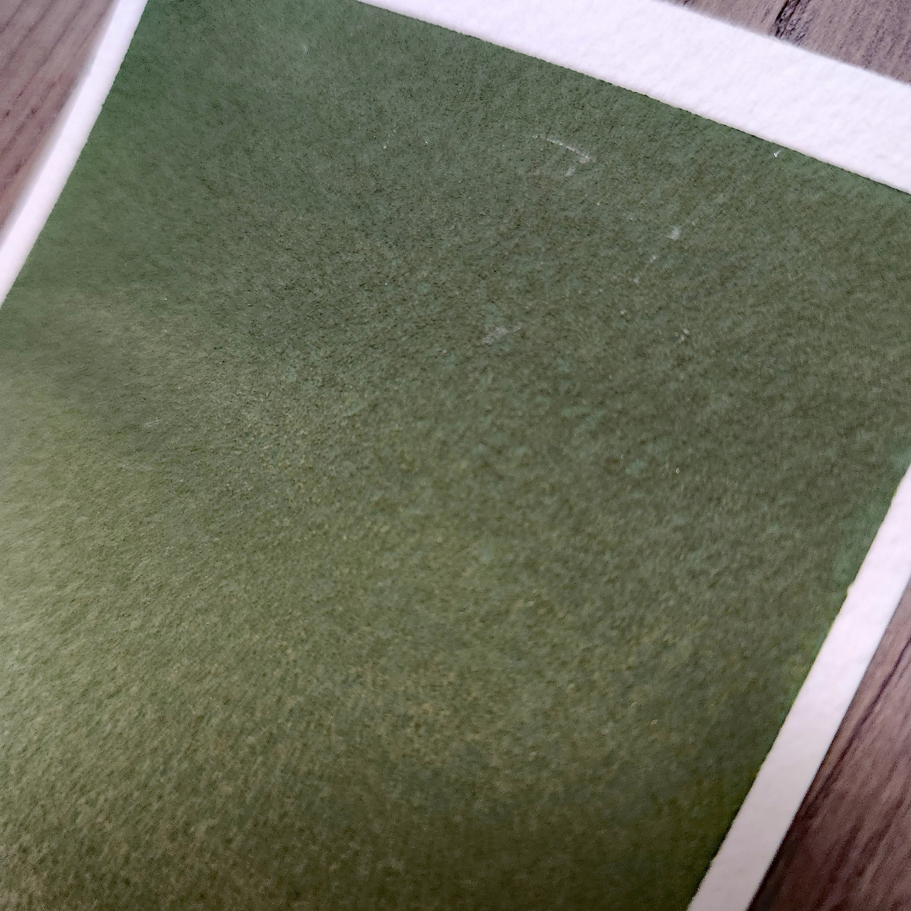 Crunchy Leaves Handmade Watercolor Paint Half Pan and Full - Etsy