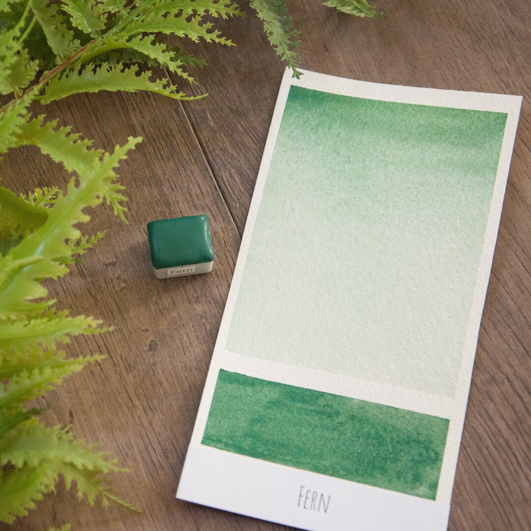 Fern Handmade Watercolor Paint Half Pan and Full Pan Fine Art ...