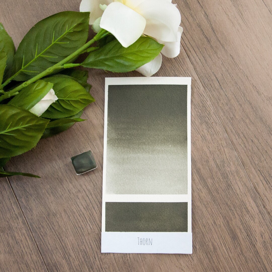 Thorn Matte Watercolor Paint | Quarter Pan, Half Pan, Full Pan | Fine ...