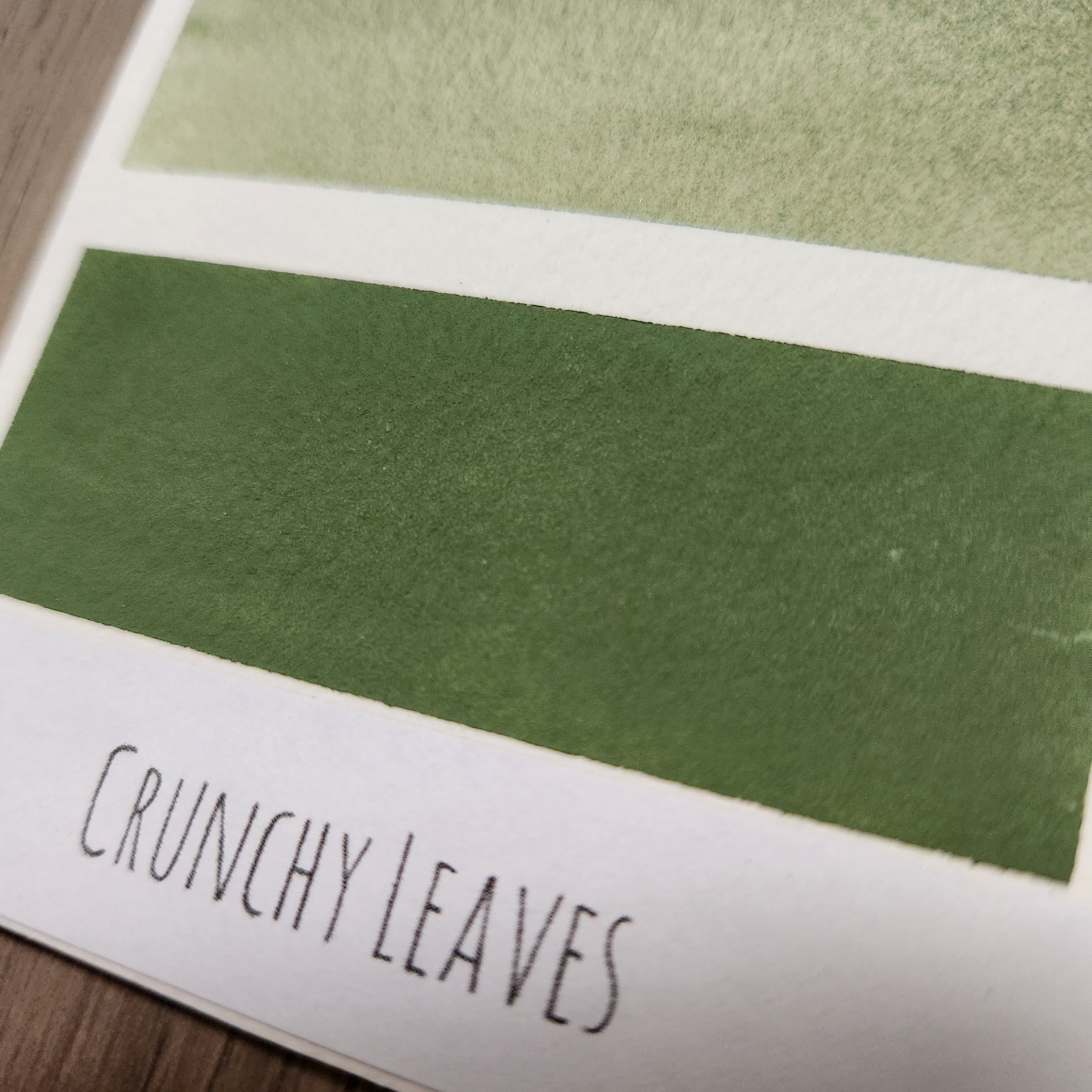 Crunchy Leaves Handmade Watercolor Paint Half Pan and Full - Etsy