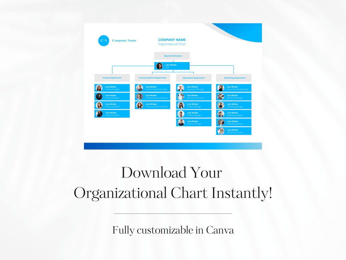 Flowchart Organizational Chart for Business Company Chart Corporate ...
