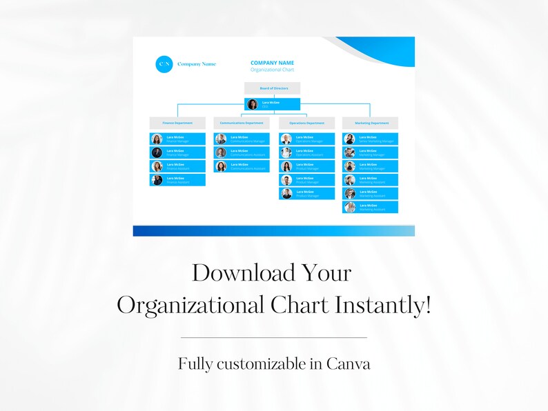 Flowchart Organizational Chart for Business Company Chart Corporate ...
