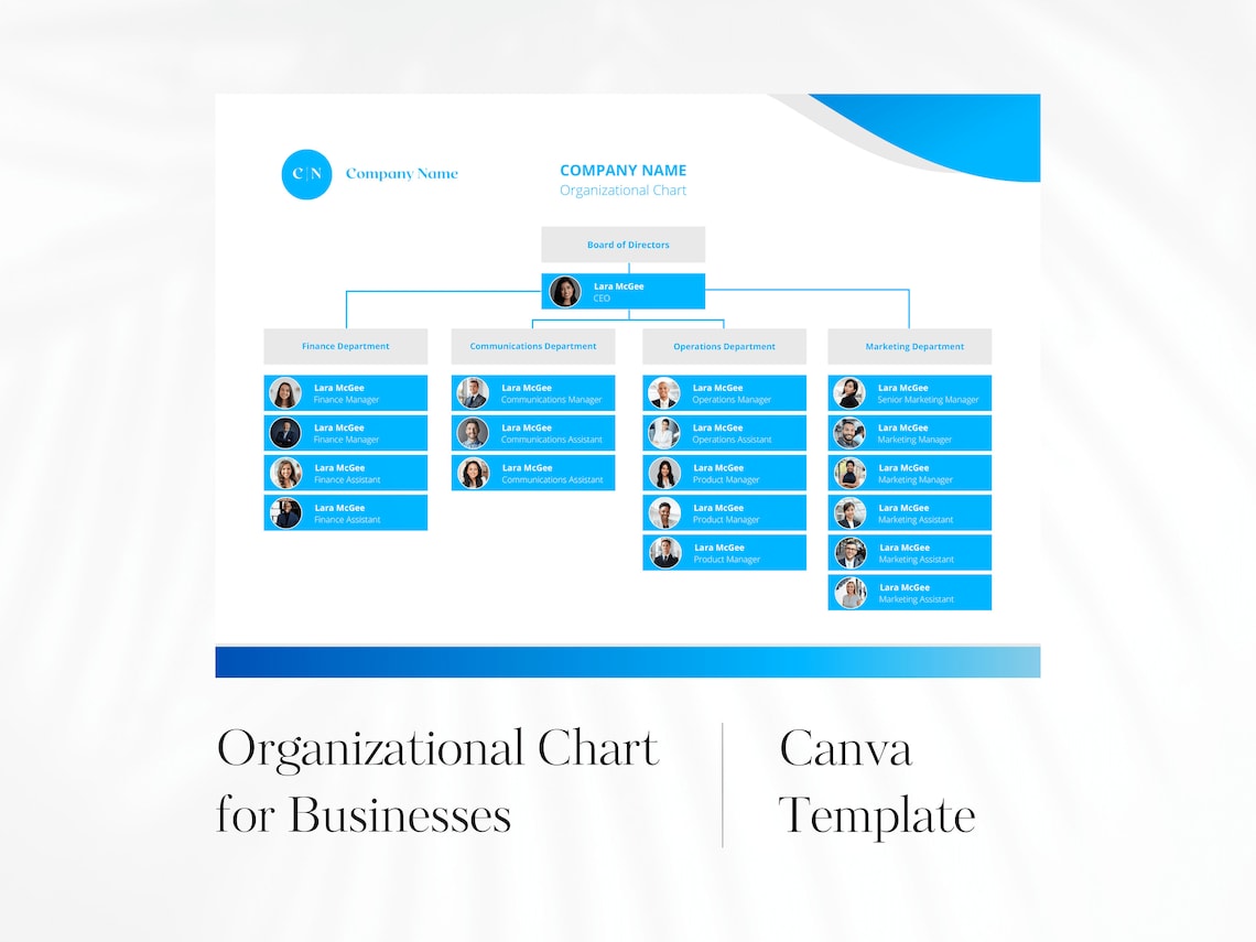 Flowchart Organizational Chart for Business Company Chart Corporate ...