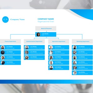 Flowchart Organizational Chart for Business Company Chart Corporate ...
