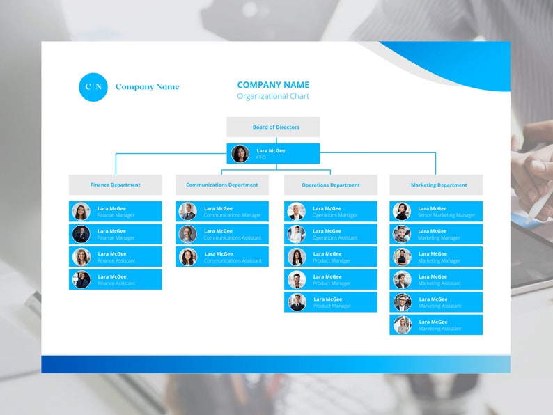 Flowchart Organizational Chart for Business Company Chart Corporate ...