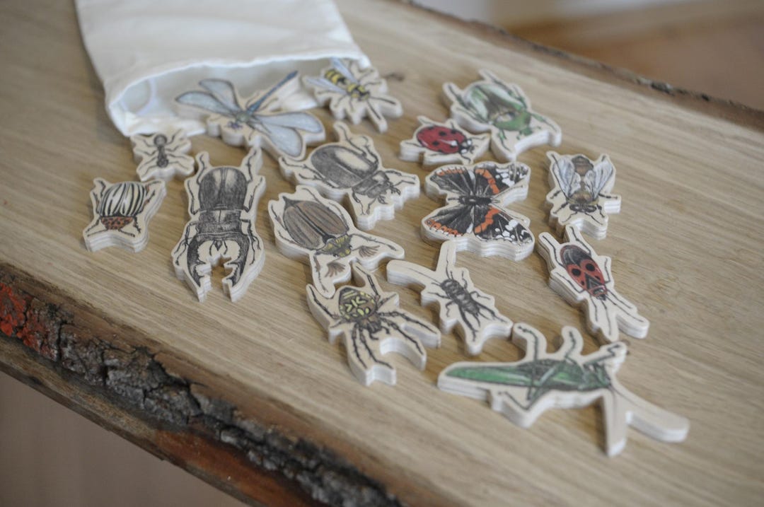 MM Woodworks Wooden Bugs Set 15 Pcs - Etsy