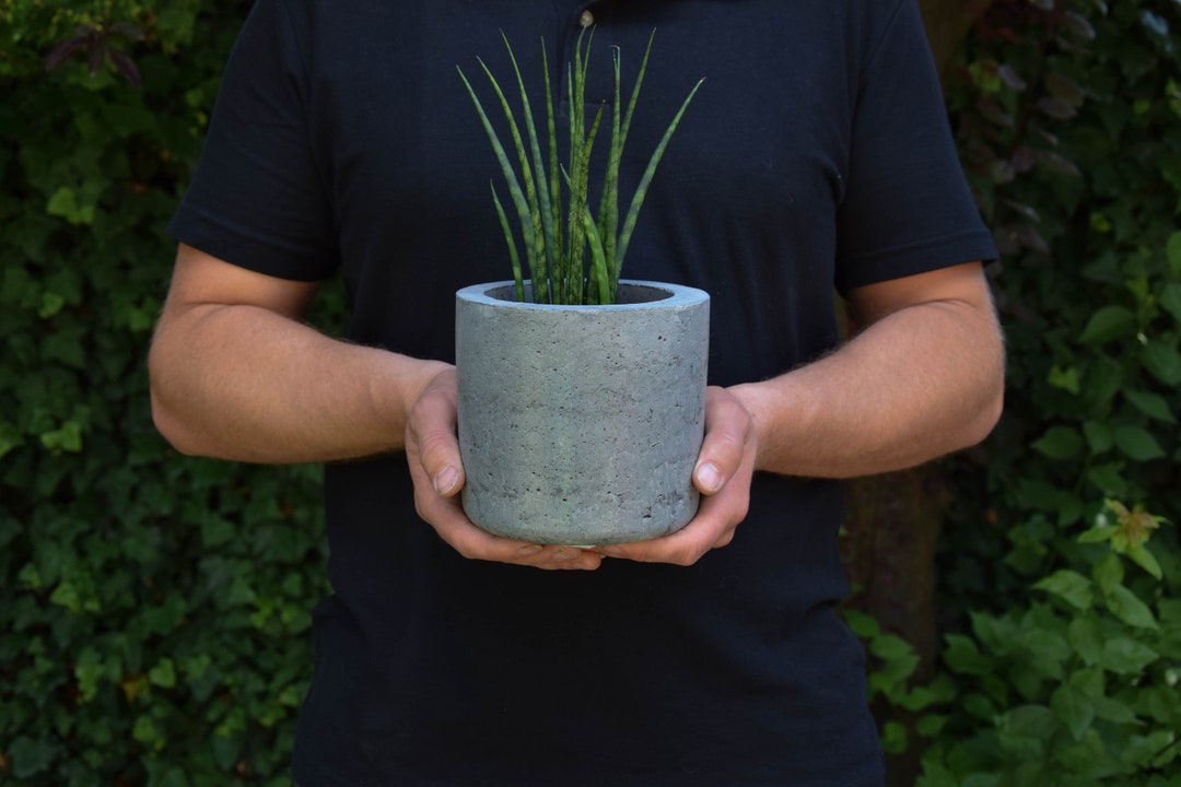 Beautiful Dark Gray Concrete Pot 14.5cm for Indoor, Plant Gift for ...