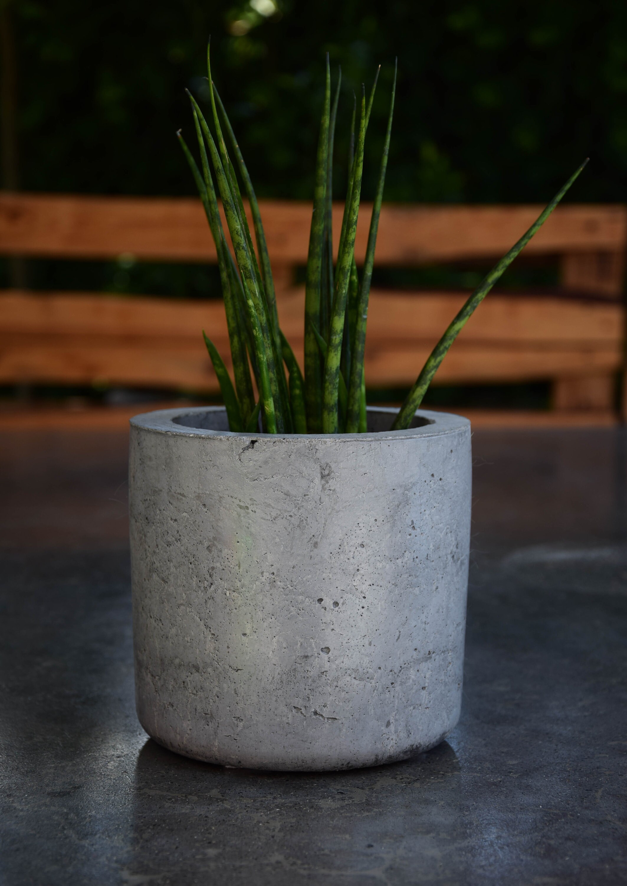 Beautiful Dark Gray Concrete Pot 14.5cm for Indoor, Plant Gift for ...
