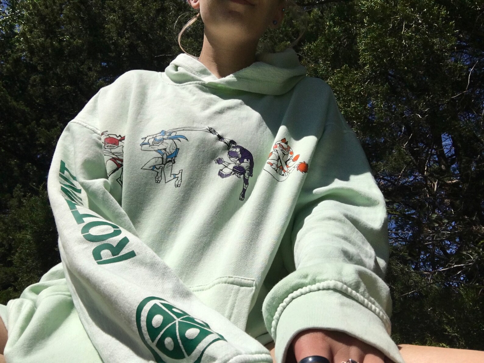 ROTTMNT Hoodie - Etsy Ireland