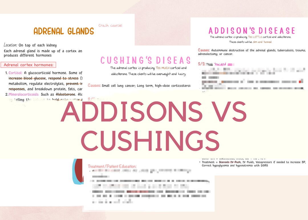 Addisons Vs Cushings | Medsurg Review | 3 Pages | Includes A&P and Pharmacology Review - Etsy