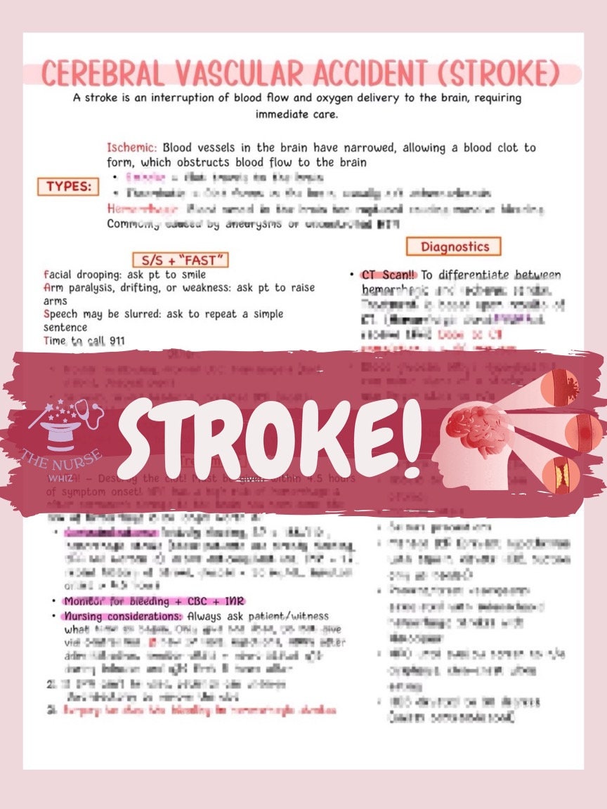 Stroke | Nursing Notes | Digital Copy Only - Etsy