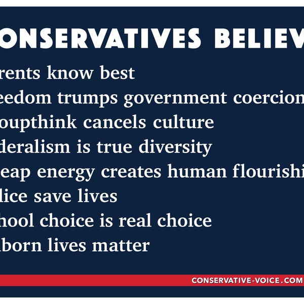We Believe Conservative Yard Sign - Etsy
