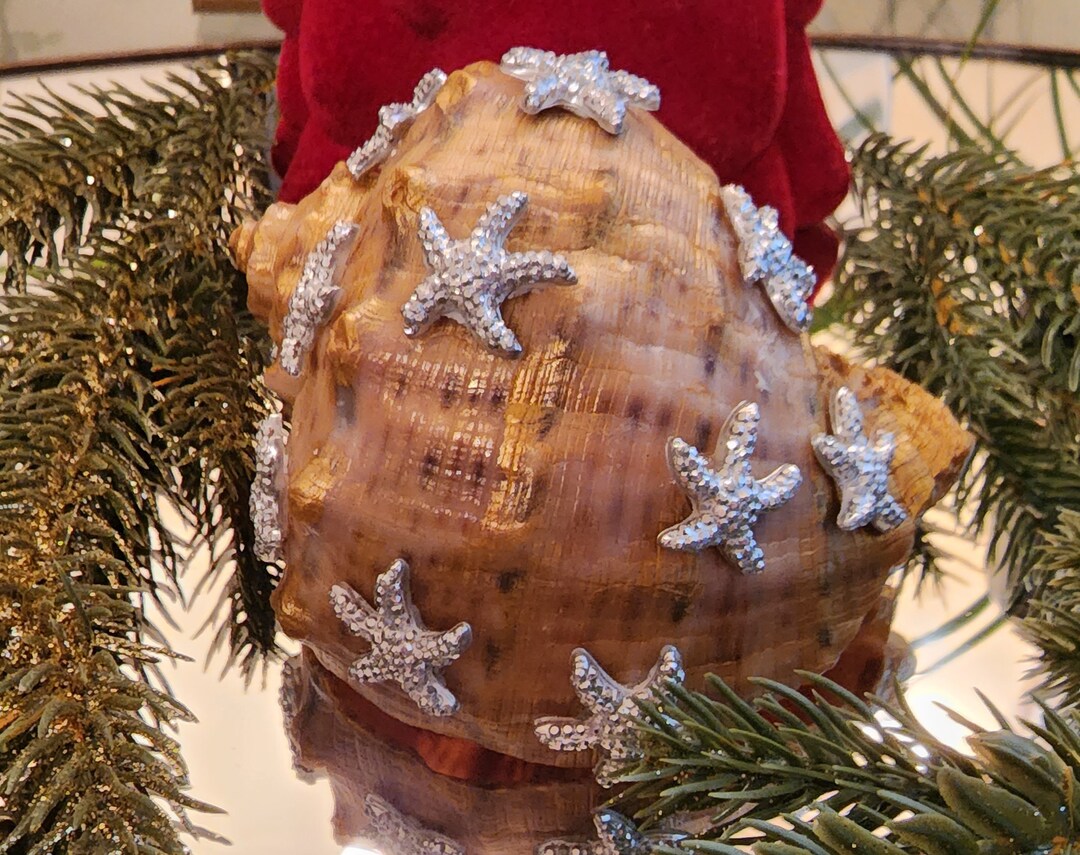 Large Shell Adorned With Seastars, Coastal Decor, Shell With Stars ...