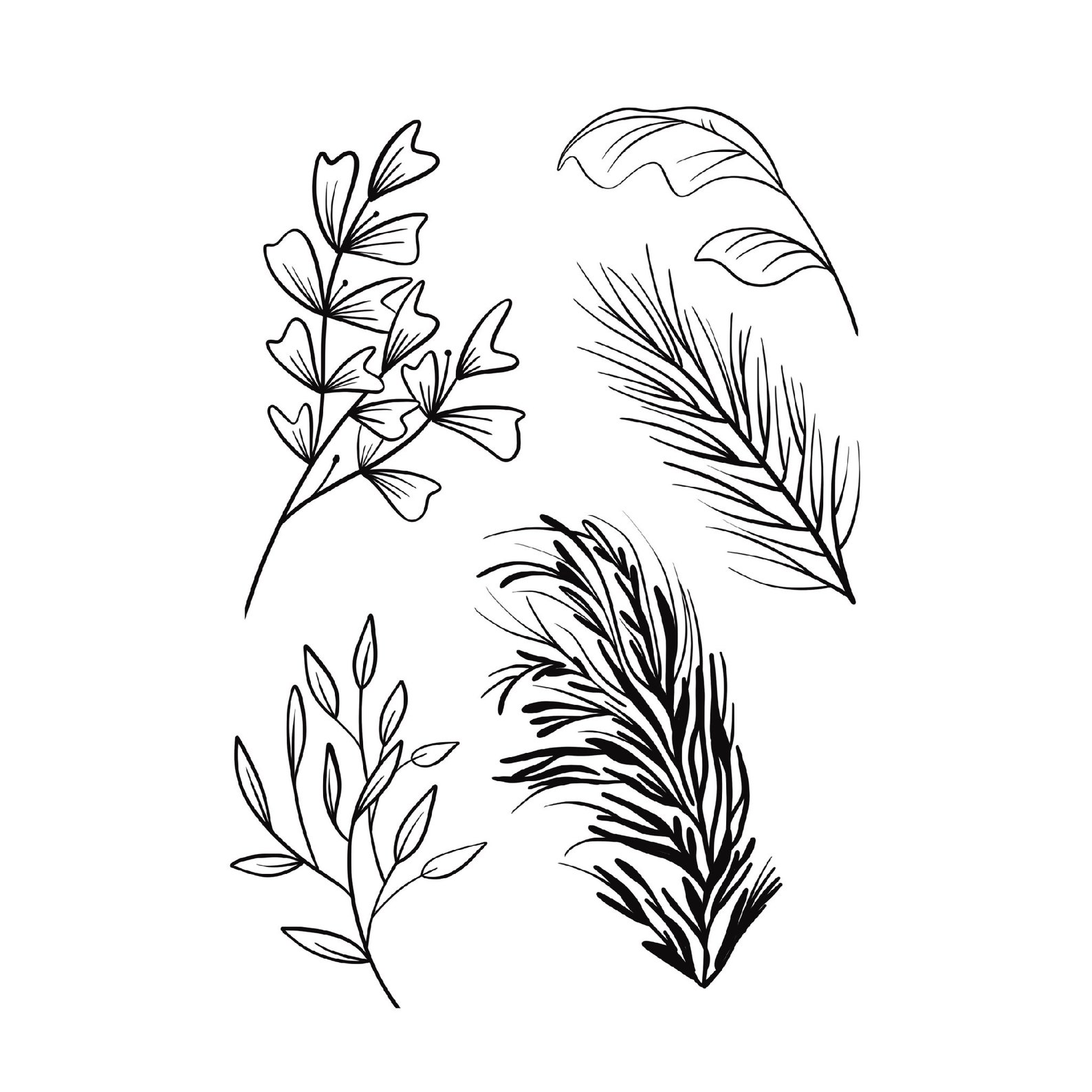 Pampas Grass and Foliage Leaves SVG File for Personal Use on - Etsy