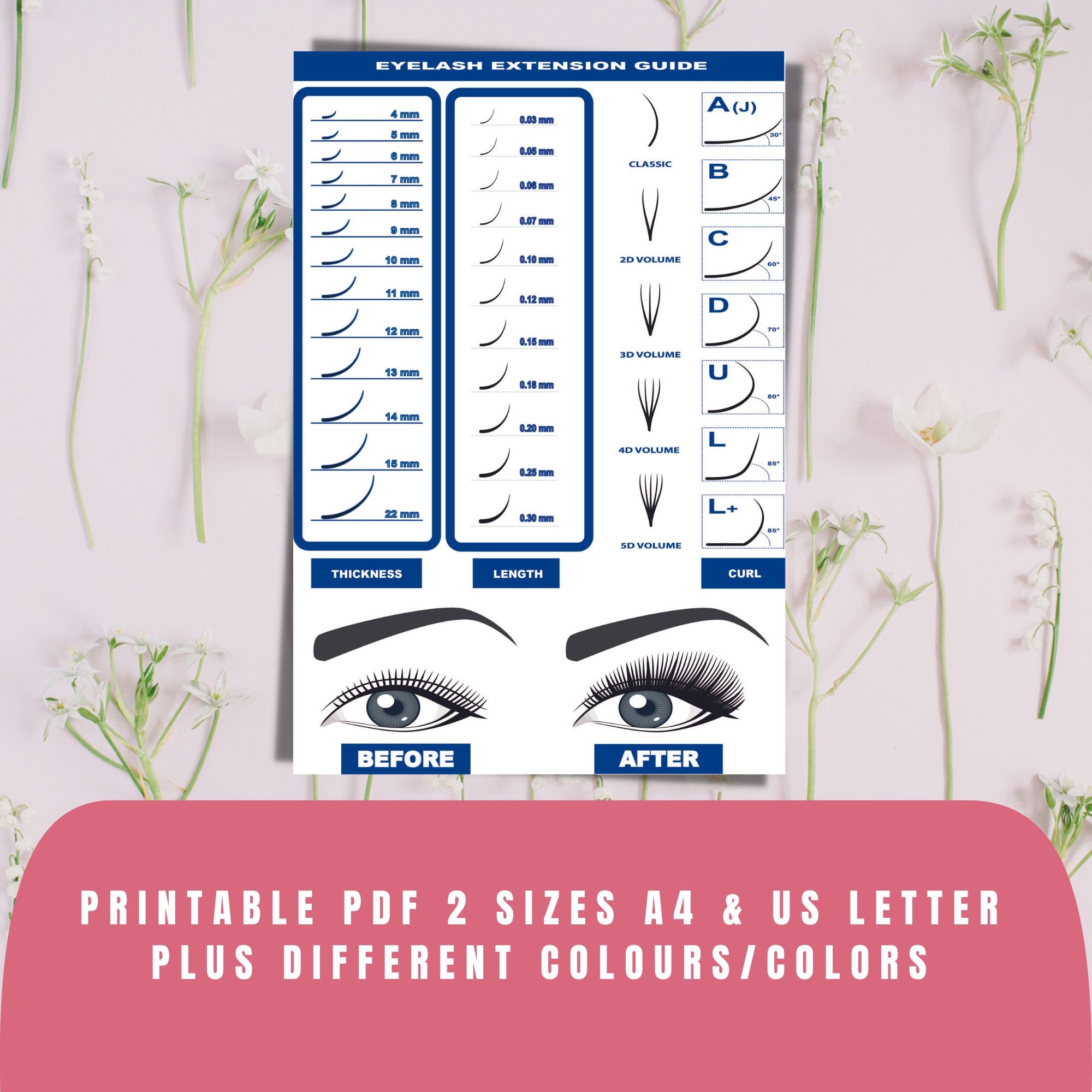 Eyelash Extension Guide, Lash Extension Guide, Printable PDF, Lash ...