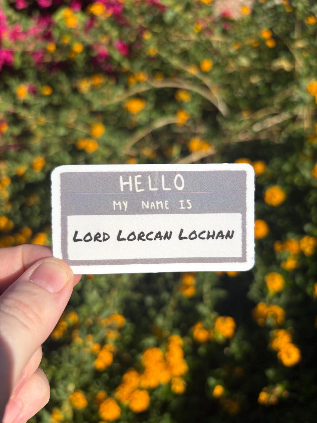 Throne of Glass Sticker, Lorcan Throne of Glass, Lorcan Lochan, Elide ...