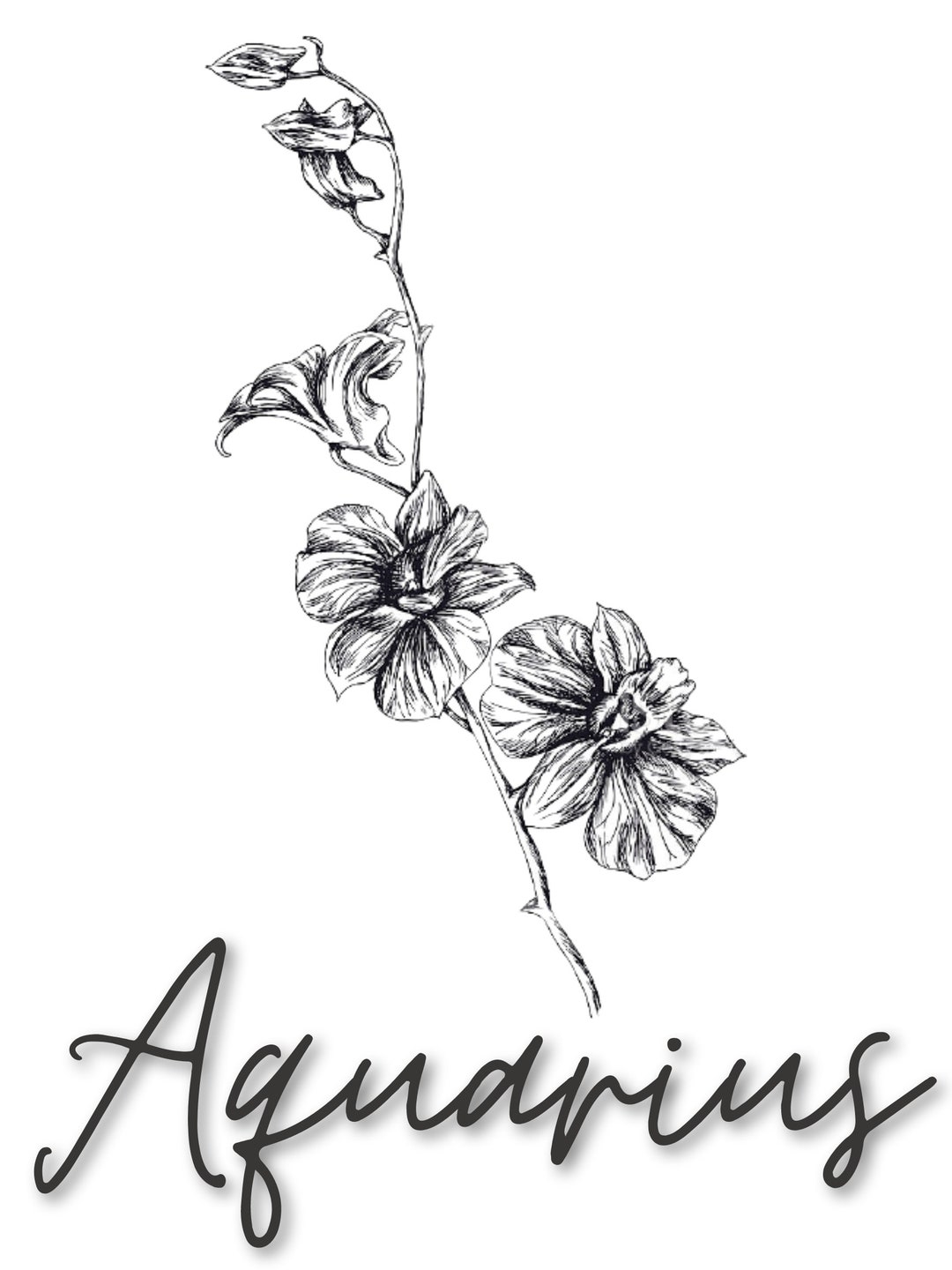 Aquarius Orchid Zodiac Print Poster Digital Download - Etsy