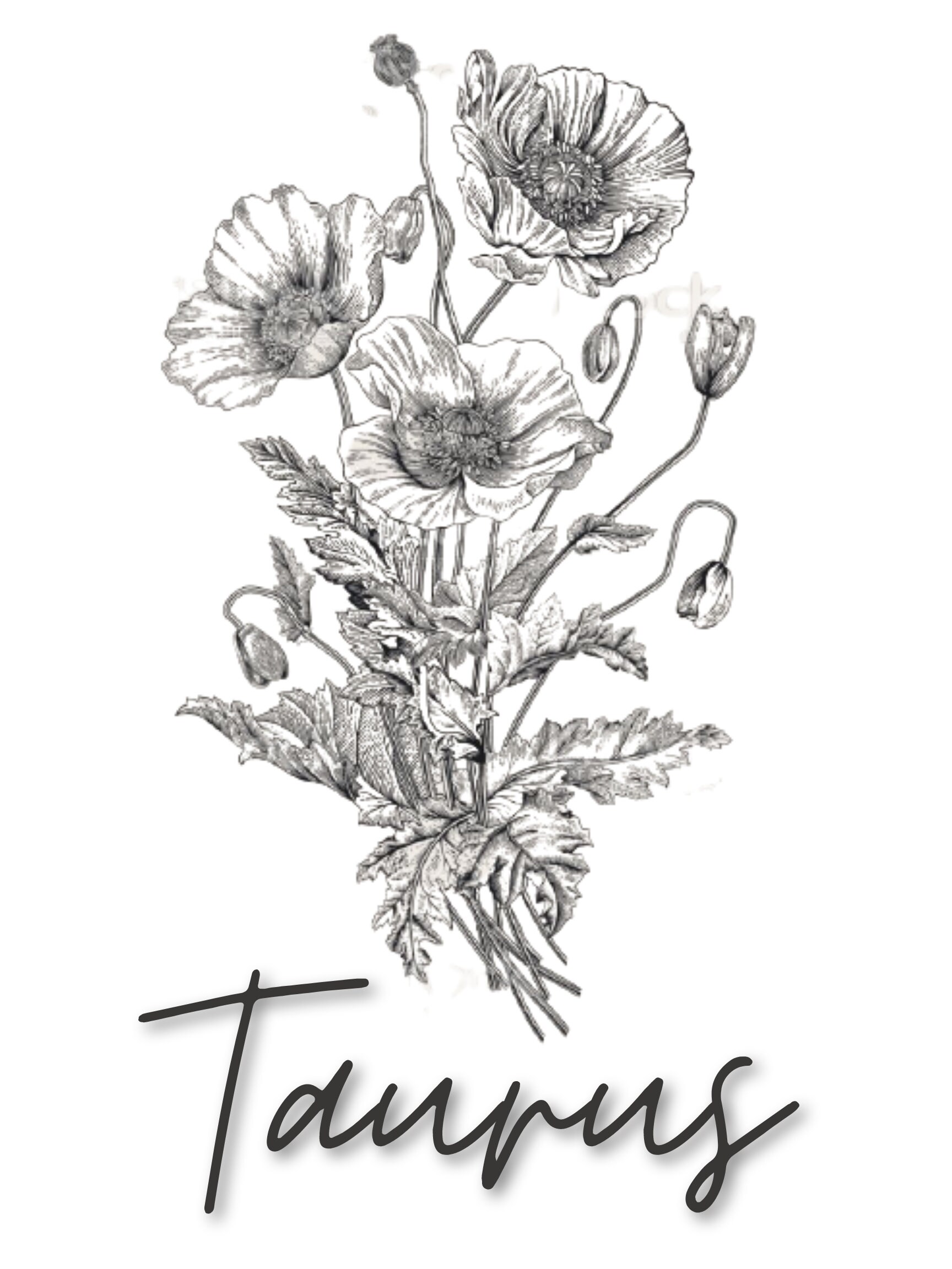 Taurus Poppy Zodiac Print Poster Digital Download - Etsy