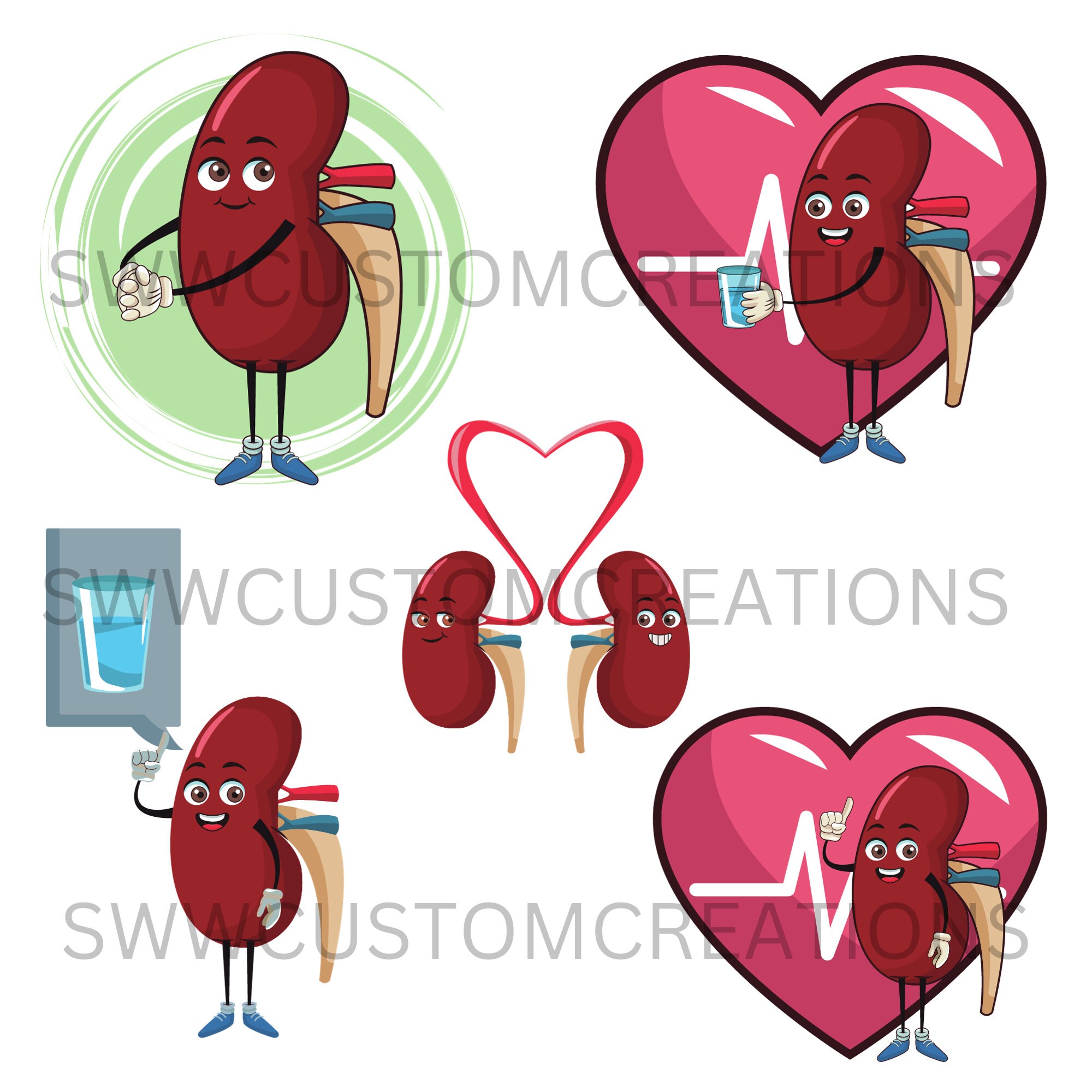 Kidney PNG Files - Etsy