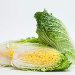 Bilko Chinese Cabbage Seed - Etsy