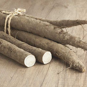 Chiko Burdock Root Seed - Etsy