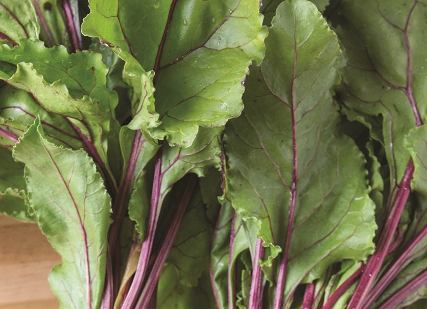 Boro Beet Seeds - Etsy