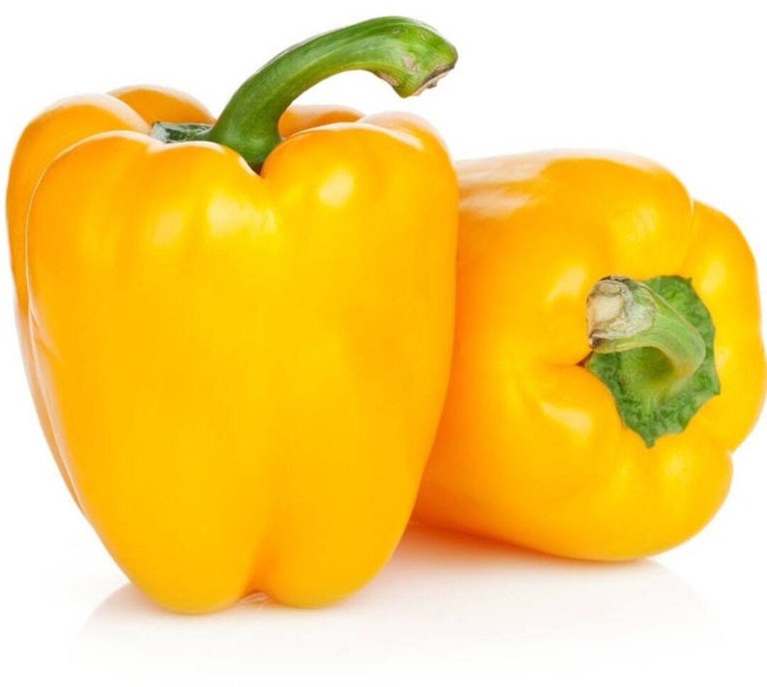 Abay F1 Sweet Pepper - Etsy