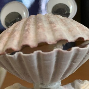 Shell Frog - Etsy