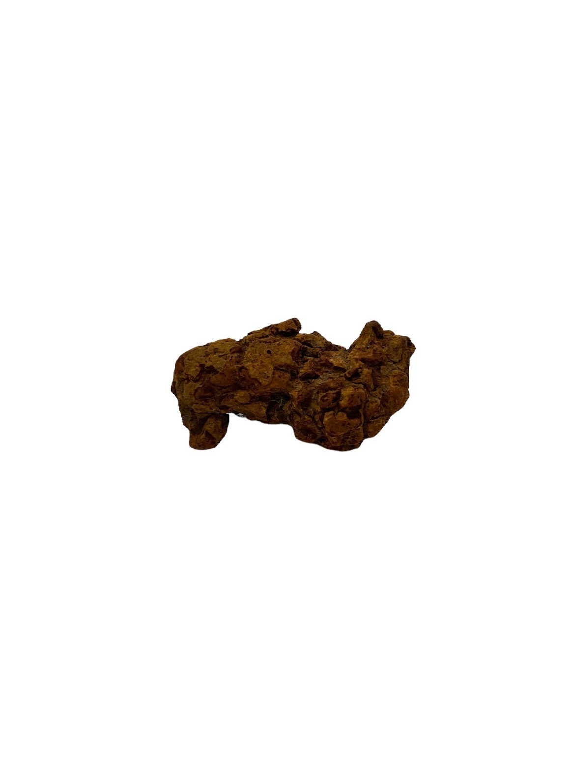 Coprolite, 2-3 Fossilized Poop, Dung Stone, Prehistoric Poop 70 Million ...