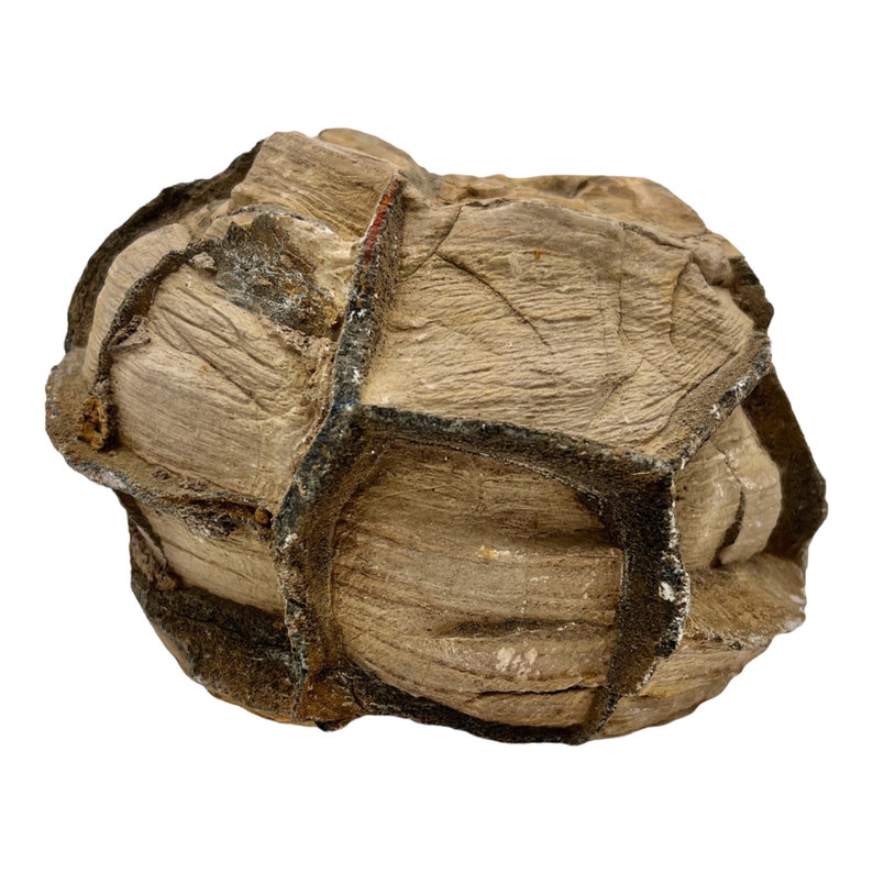 Natural Raw Septarian Nodule unpolished Dragon Stone/dragon - Etsy