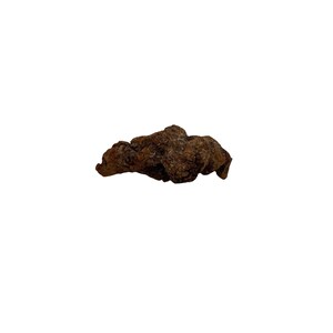 Coprolite, 2-3 Fossilized Poop, Dung Stone, Prehistoric Poop 70 Million ...