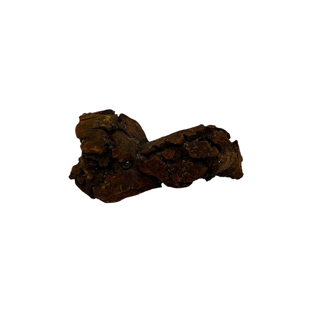 Coprolite, 1-2" Fossilized Poop, Dung Stone, Prehistoric Poop (70 ...