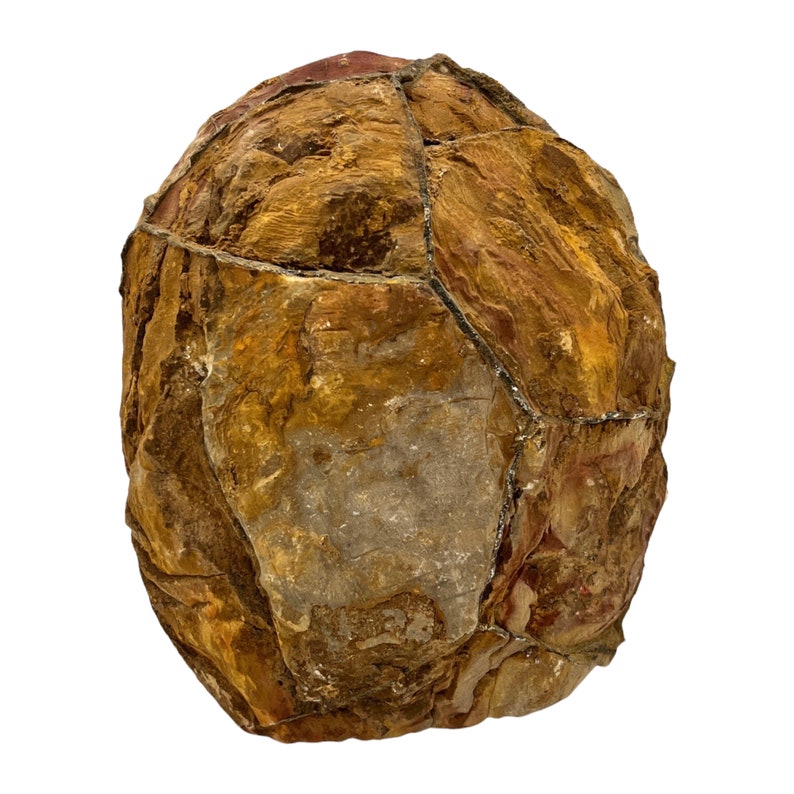 Natural Raw Septarian Nodule unpolished Dragon Stone/dragon - Etsy