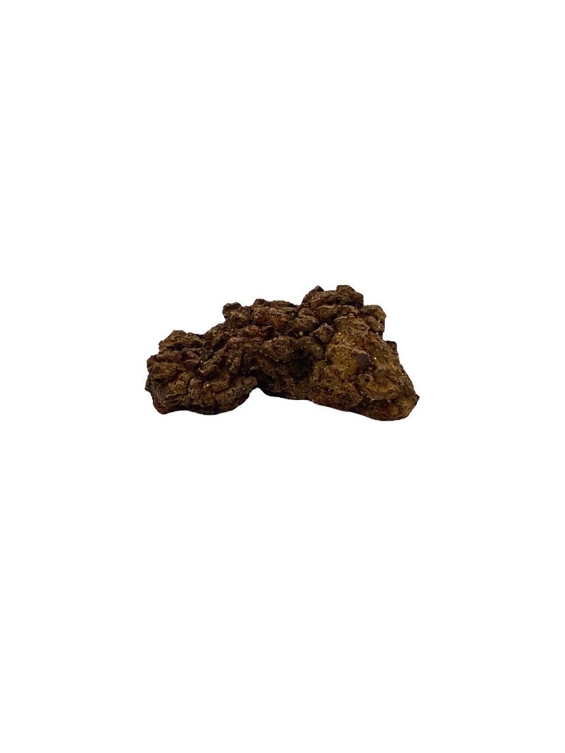 Coprolite, 2-3 Fossilized Poop, Dung Stone, Prehistoric Poop 70 Million ...