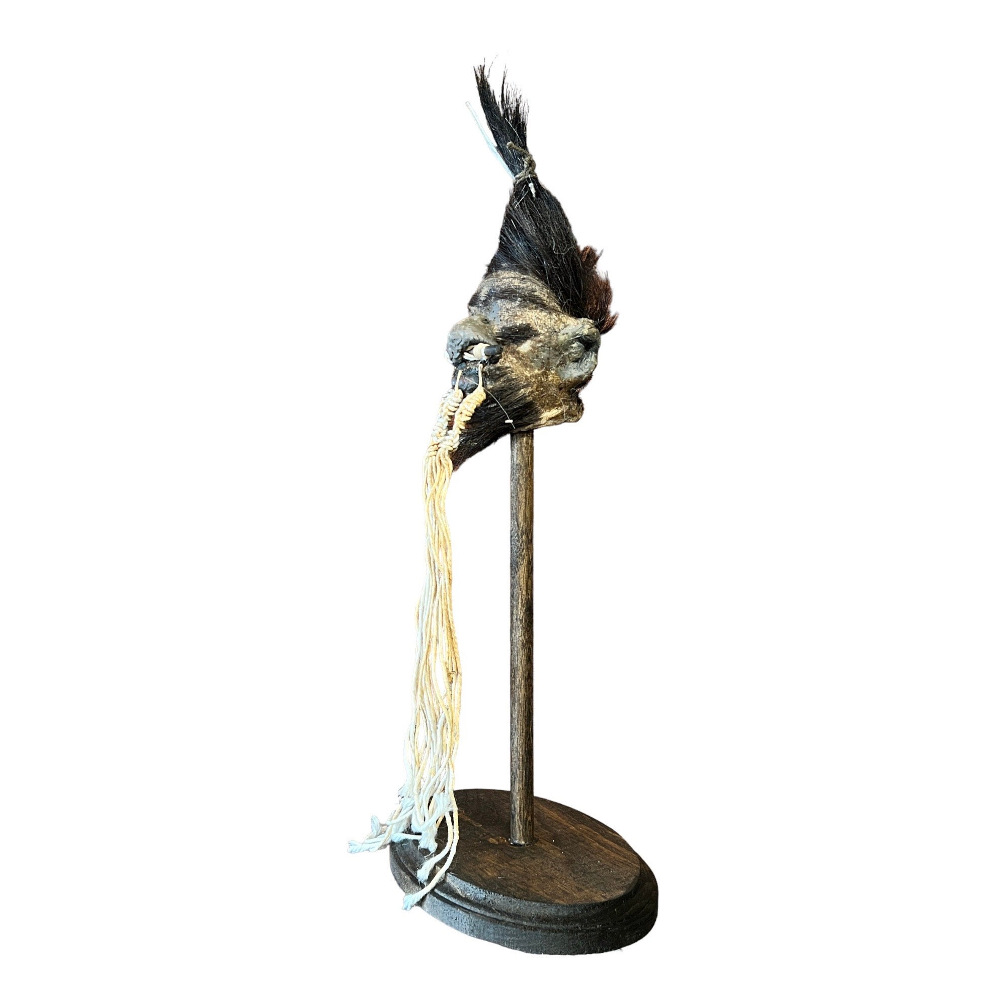 Shrunken Head Replica With Stand Shuar Tsantsa Reproduction - Etsy