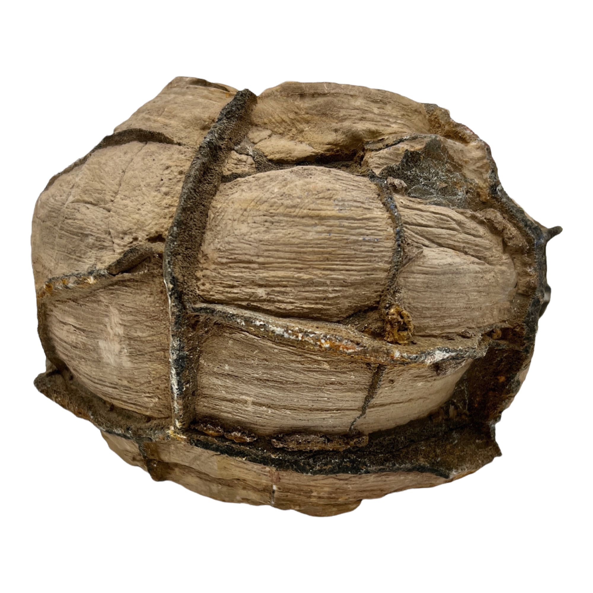 Natural Raw Septarian Nodule unpolished Dragon Stone/dragon Egg - Etsy