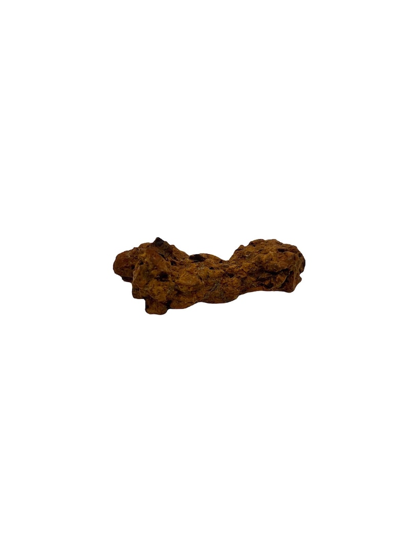 Coprolite, 2-3 Fossilized Poop, Dung Stone, Prehistoric Poop 70 Million ...