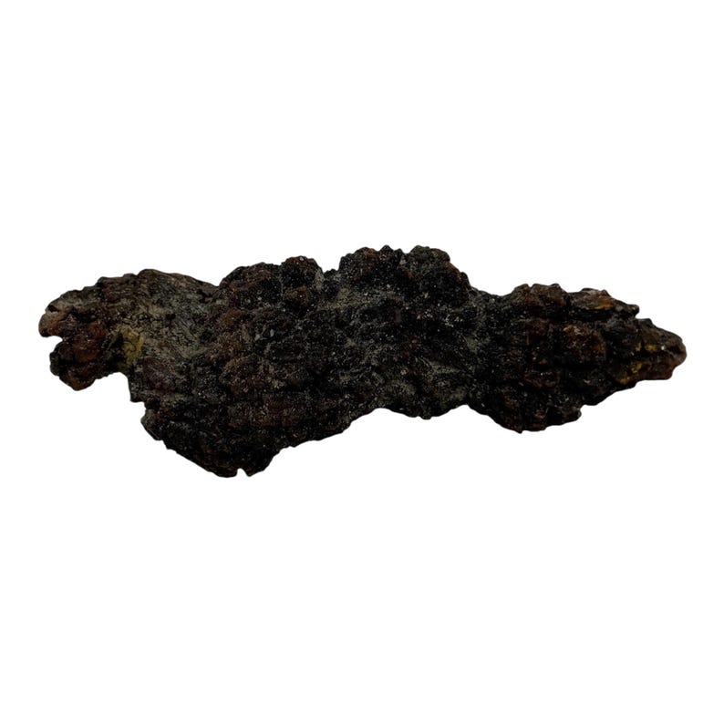 Coprolite, XL Fossilized Poop, Dung Stone, Prehistoric Poop (70 Million ...