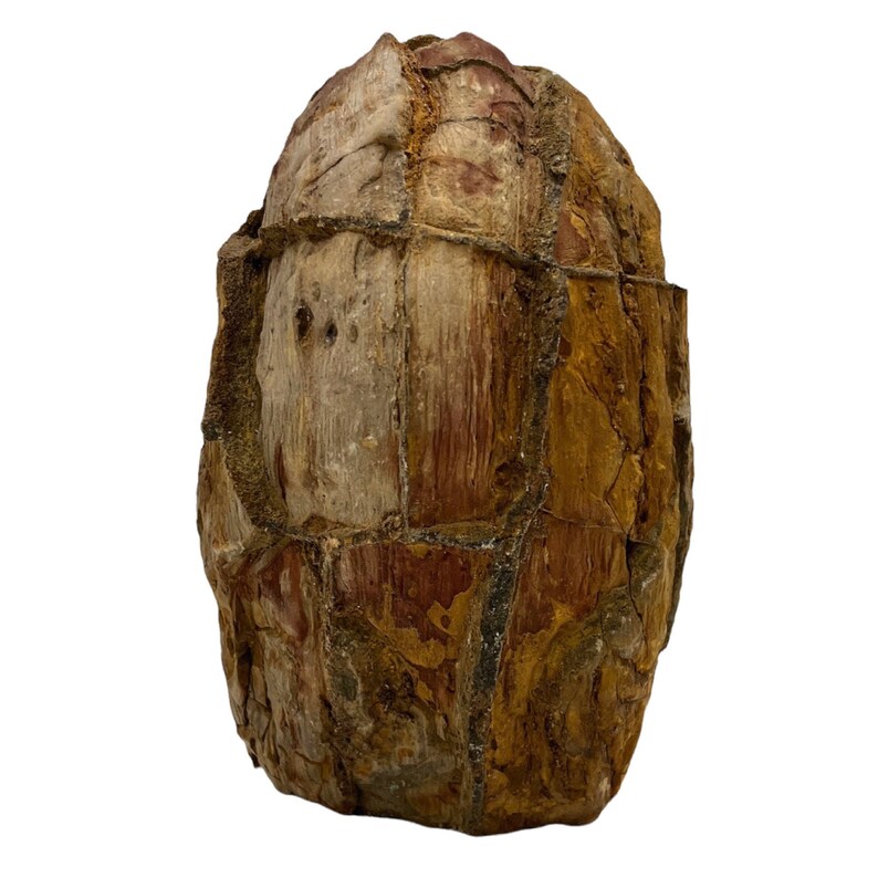 Natural Raw Septarian Nodule unpolished Dragon Stone/dragon - Etsy