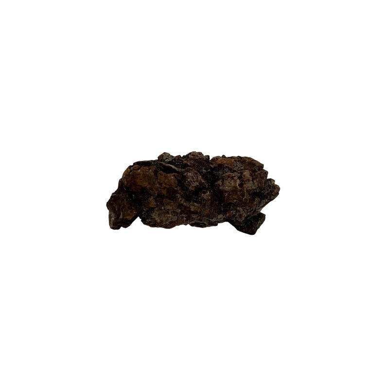Coprolite, 1-2" Fossilized Poop, Dung Stone, Prehistoric Poop (70 ...