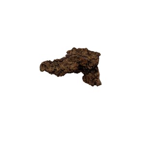 Coprolite, 2-3 Fossilized Poop, Dung Stone, Prehistoric Poop 70 Million ...