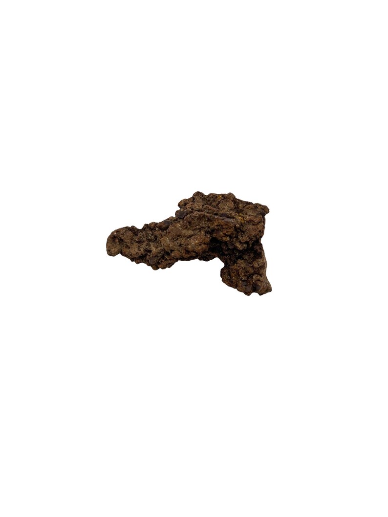 Coprolite, 2-3 Fossilized Poop, Dung Stone, Prehistoric Poop 70 Million ...