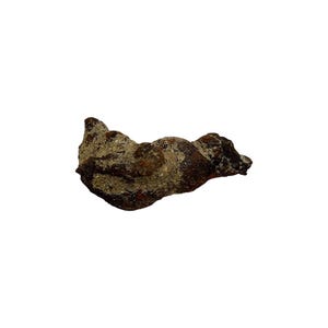 Coprolite, 1-2" Fossilized Poop, Dung Stone, Prehistoric Poop (70 ...