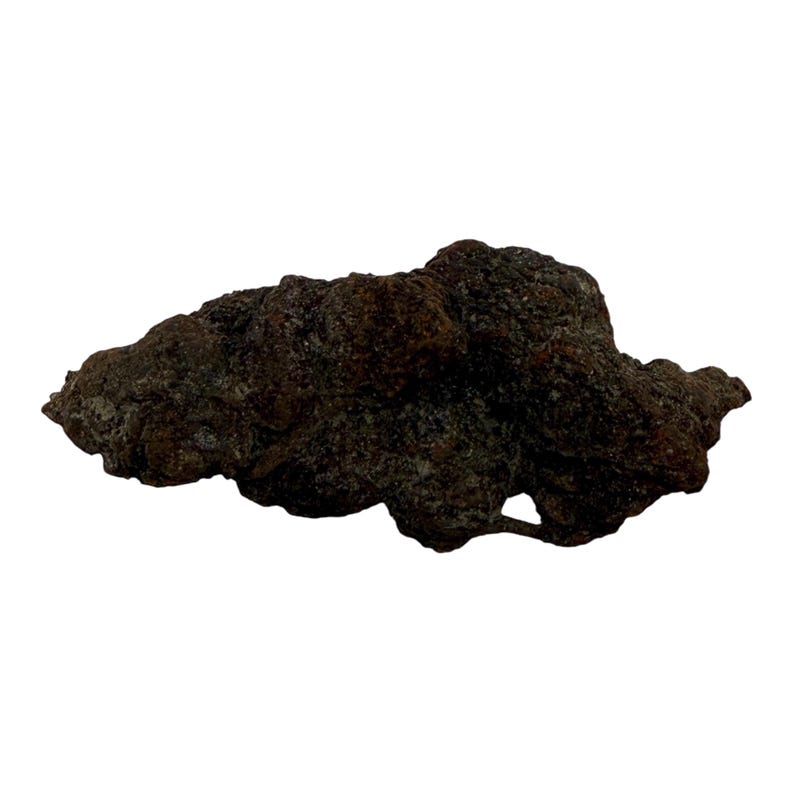 Coprolite, XL Fossilized Poop, Dung Stone, Prehistoric Poop (70 Million ...