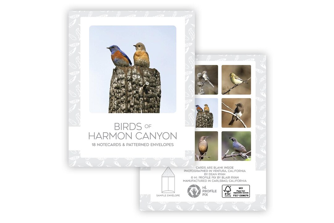 Blank Notecards Birds of Harmon Canyon Preserve Ventura California ...